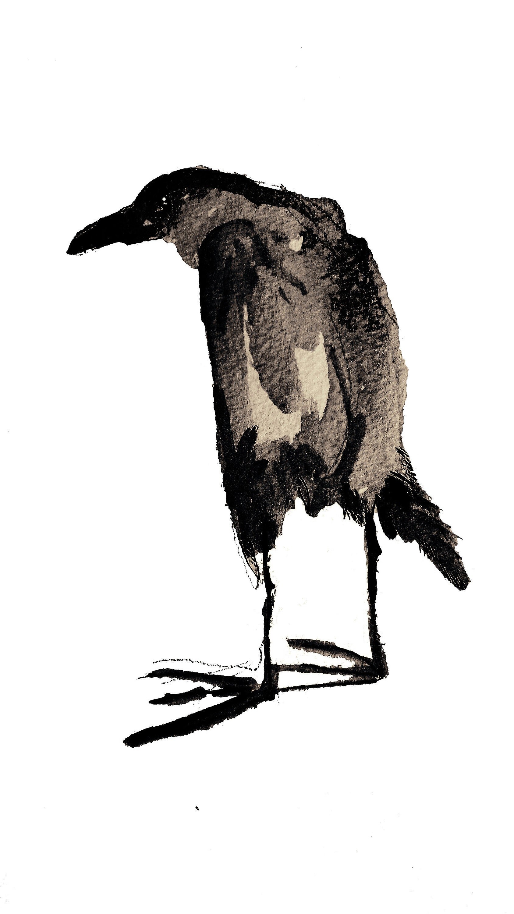 Crow Art, Pen and Ink, Crow Illustration, Crow Inks, Black Crow, Bird ...