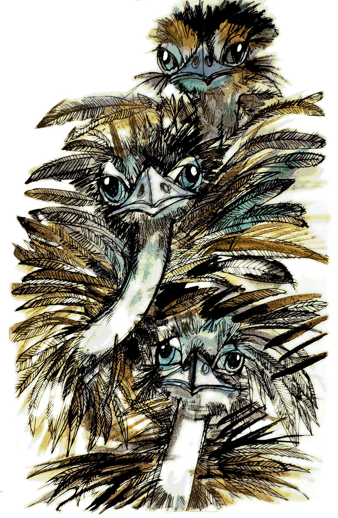 Original Art Ostriches Bird Art Ostrich Illustration Pen - Etsy