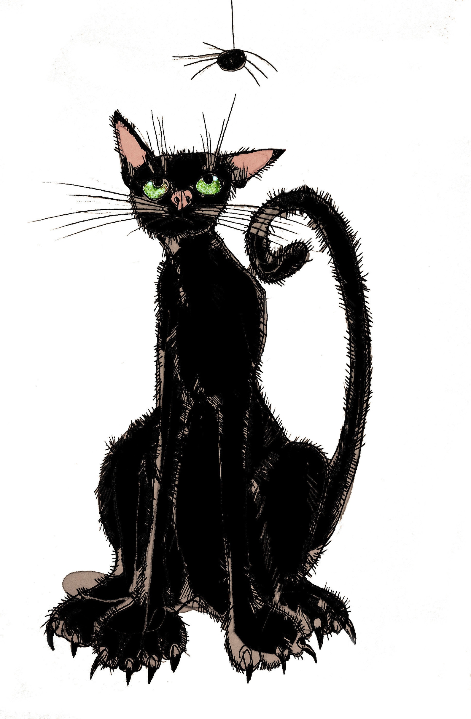 Black Cat Original Art, Pen and Ink Cat, Black Cat Illustration, Cat ...