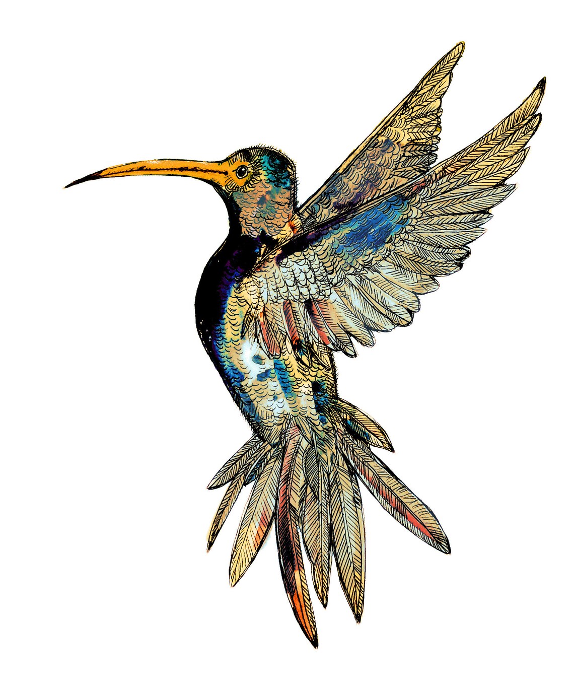 Original Art Hummingbird, Pen and Ink Bird Art, Bird Art Original ...