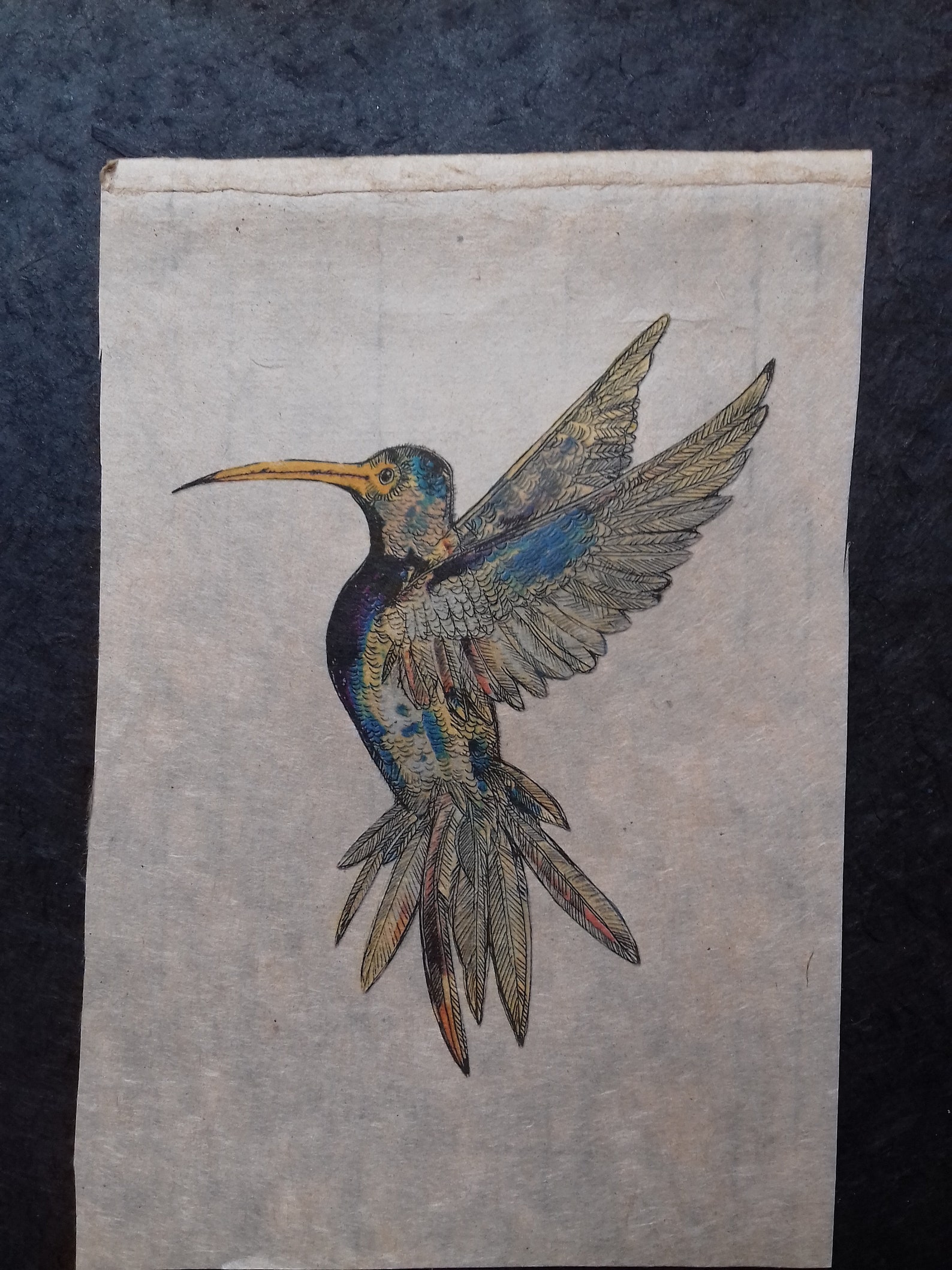 Original Art Hummingbird Pen and Ink Bird Art Bird Art - Etsy