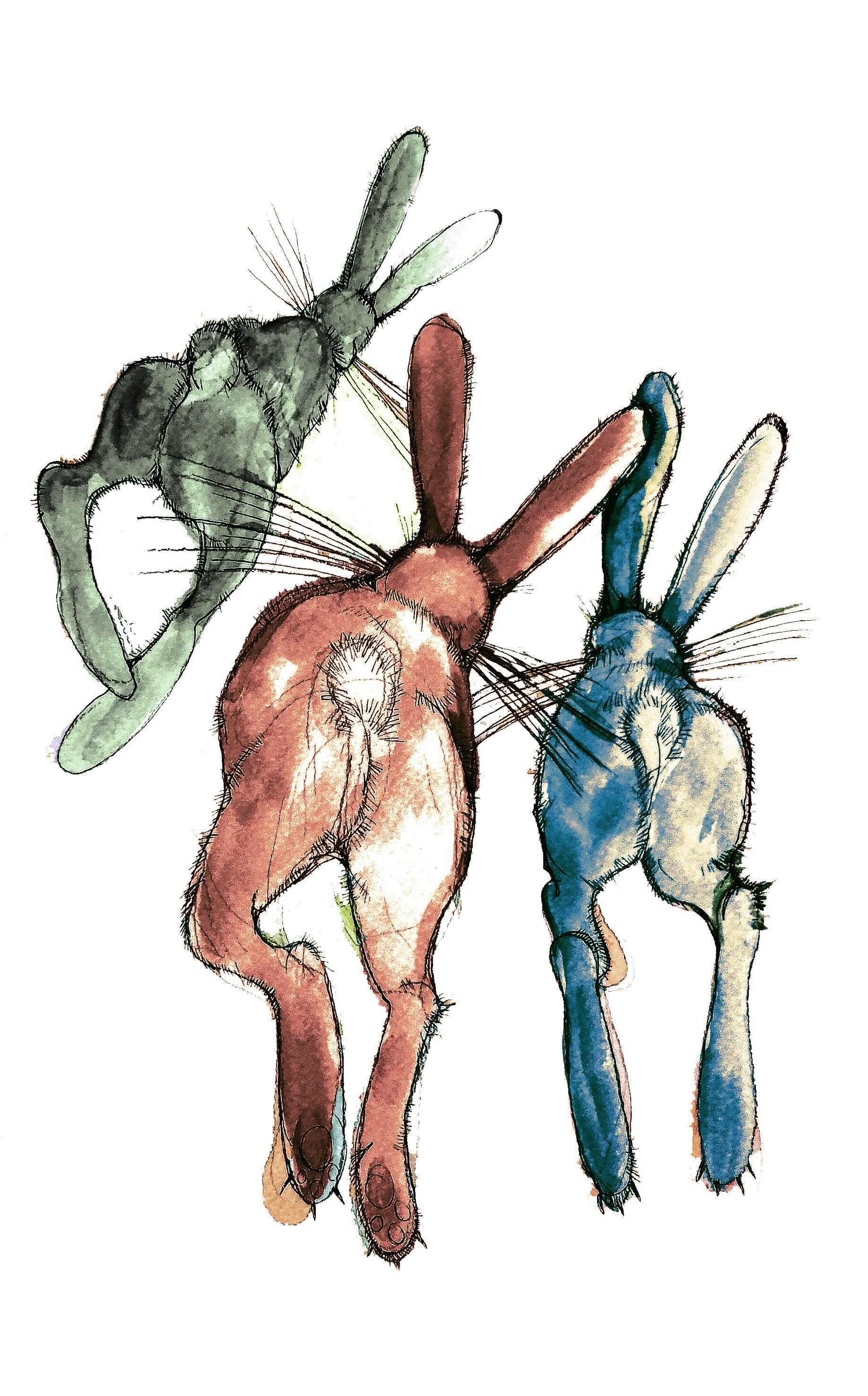 Original Art Hares, 3 Hares Illustration, Original Pen and Ink Art ...