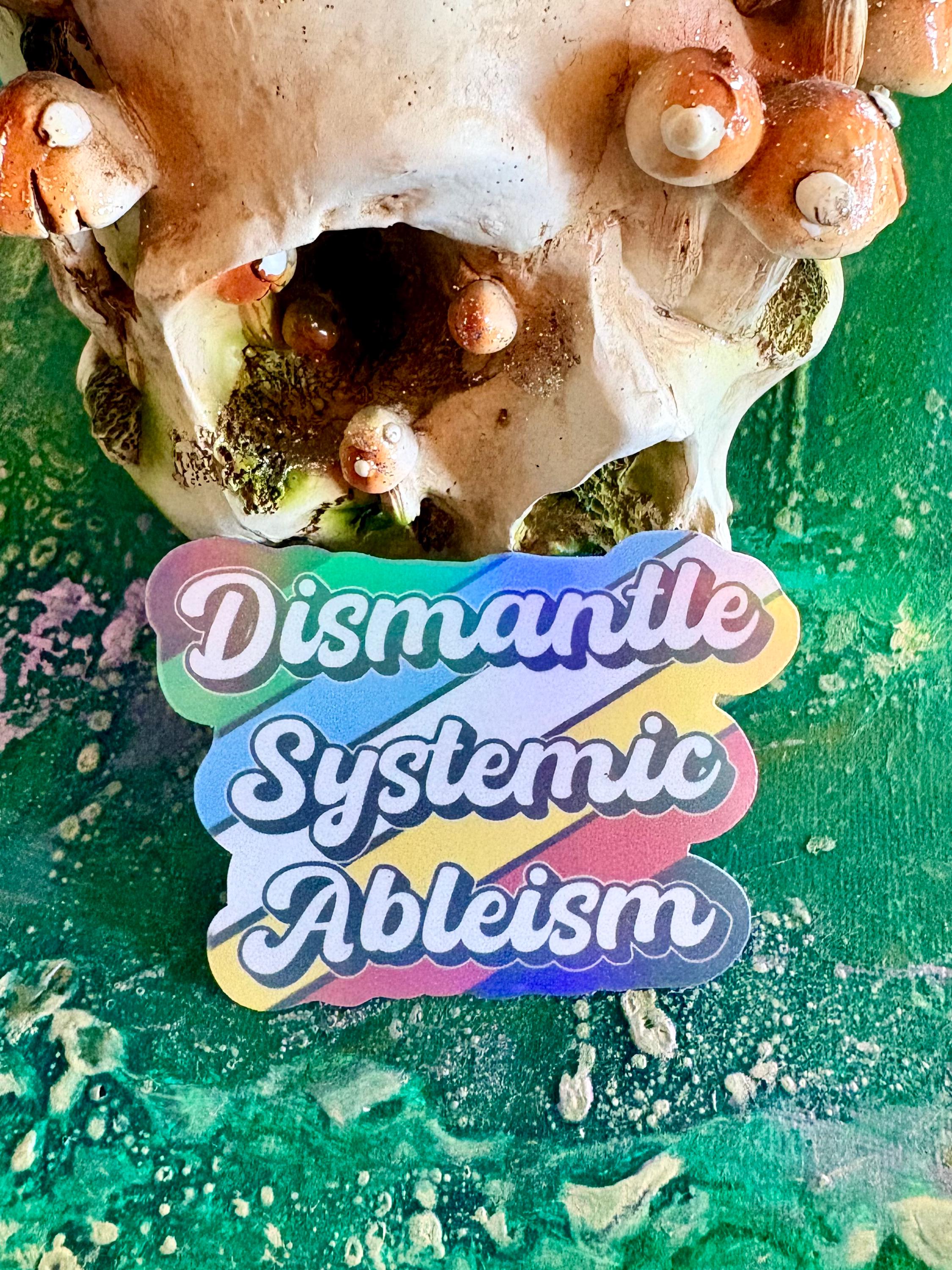 Dismantle Systemic Ableism Sticker | Disability Pride | Equality Art ...
