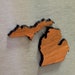 Michigan State Magnets Made in the USA From Salvaged Cherry Hardwood ...