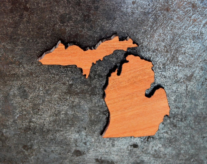 Michigan State Magnets Made in the USA From Salvaged Cherry Hardwood ...