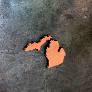 Michigan State Magnets Made in the USA From Salvaged Cherry Hardwood ...