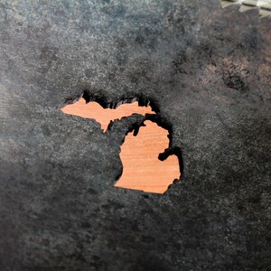 Michigan State Magnets Made in the USA From Salvaged Cherry Hardwood ...
