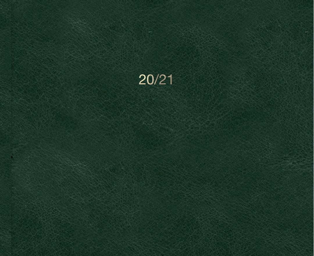 2020 2021 Digital Academic Planner Monthly/weekly/daily Spreads Sunday ...
