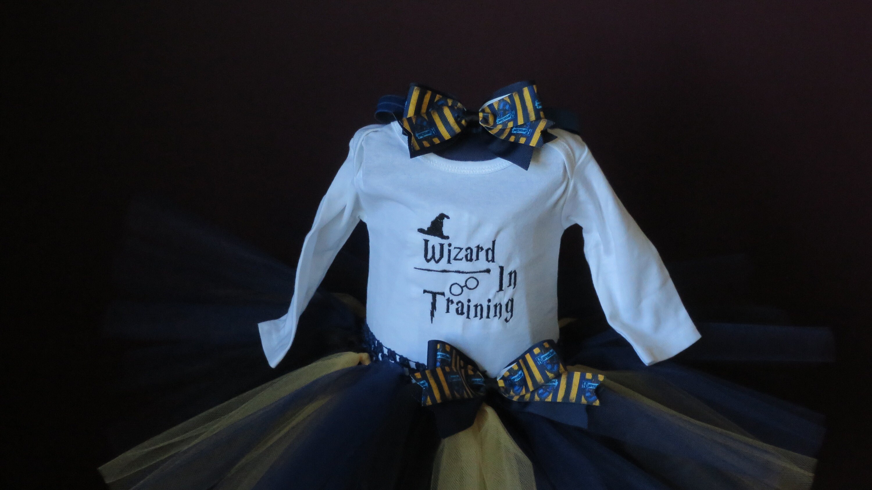 Wizard in Training Embroidered Bodysuit or Tshirt Tutu and - Etsy