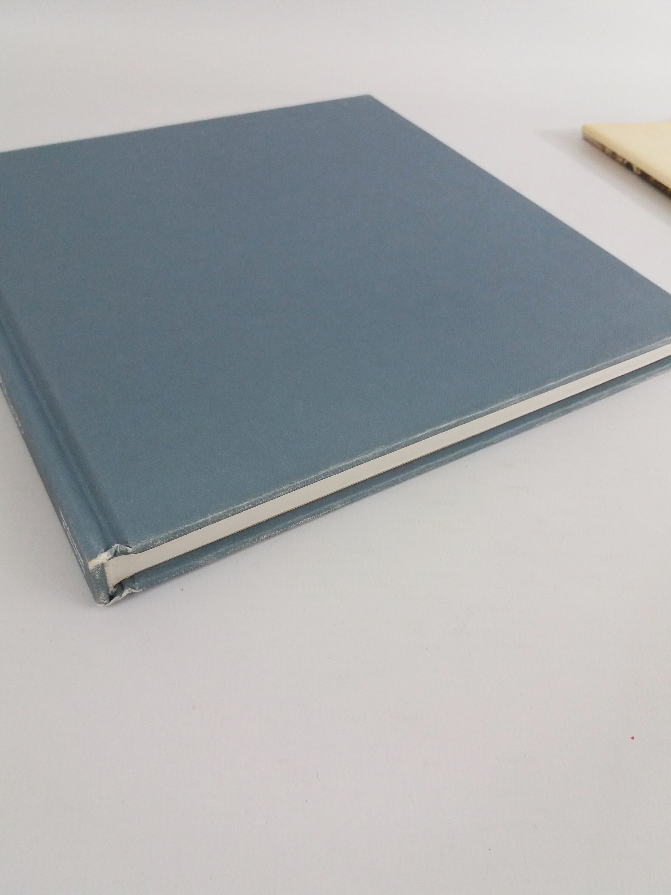 Wicker, Cane and Willow Decorating Ideas Design by Beth Franks 1990 1st ...