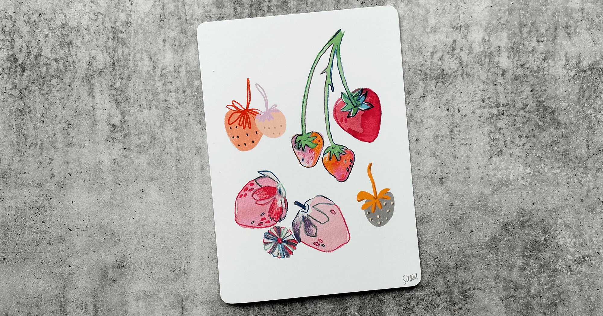Greeting Cards Animals & Fruits Illustrated Animals and Fruits 3 x A6 ...