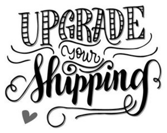 Fedex 2 Day Shipping Single Pak - Etsy