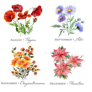 Birth Month Flowers, Flowers of the Months, Floral Poster, Digital ...