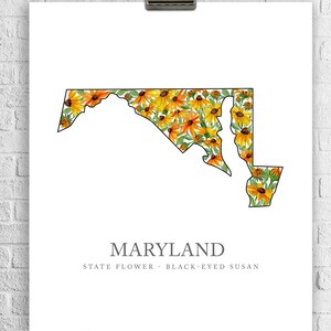 Maryland State Flower, DIGITAL DOWNLOAD, Black Eyed Susan Watercolor ...
