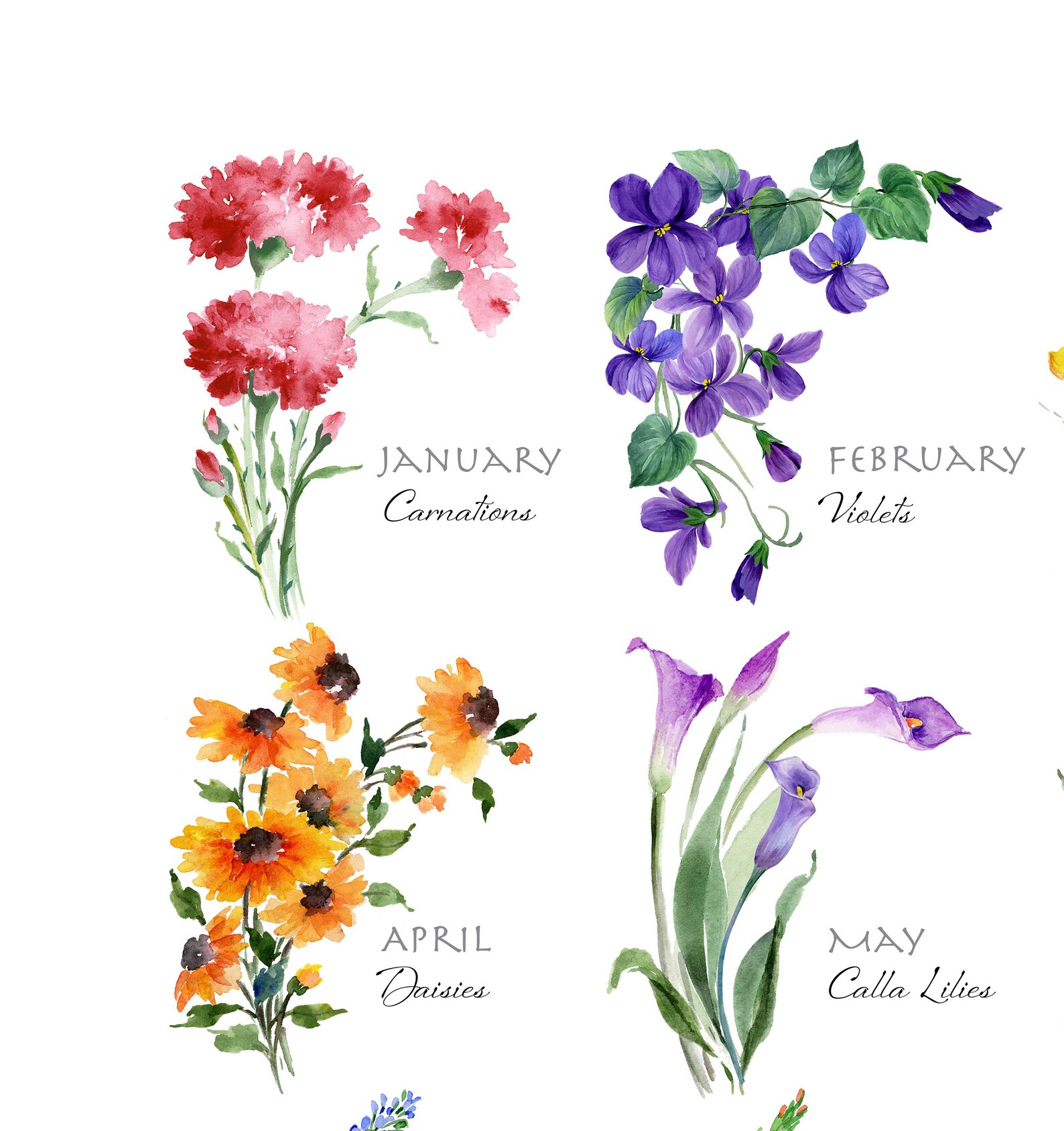Digital Download Watercolor Floral Paintings, Birth Month Flowers ...