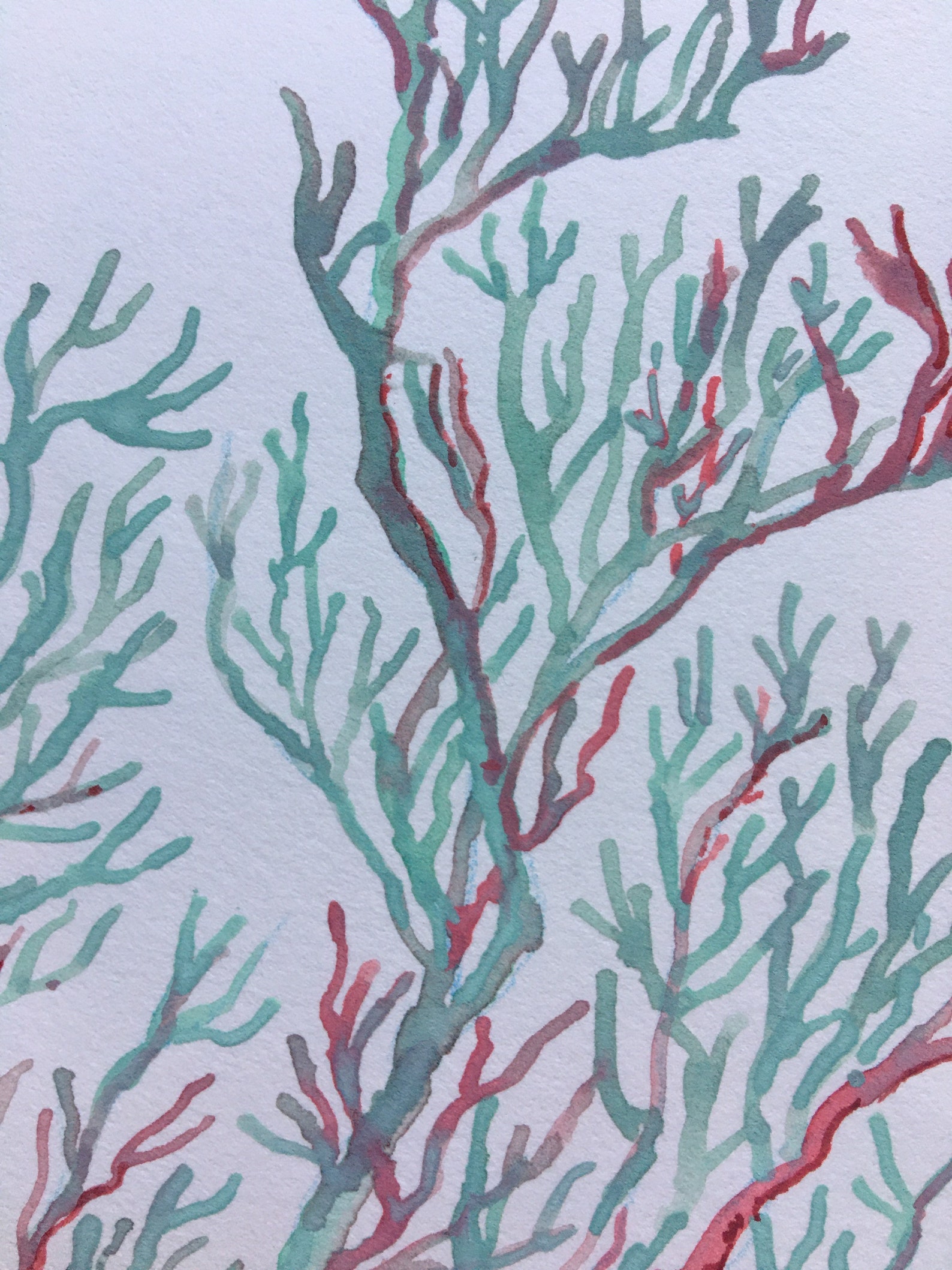 Green Coral Watercolor Nautical Watercolor Art Beach House | Etsy
