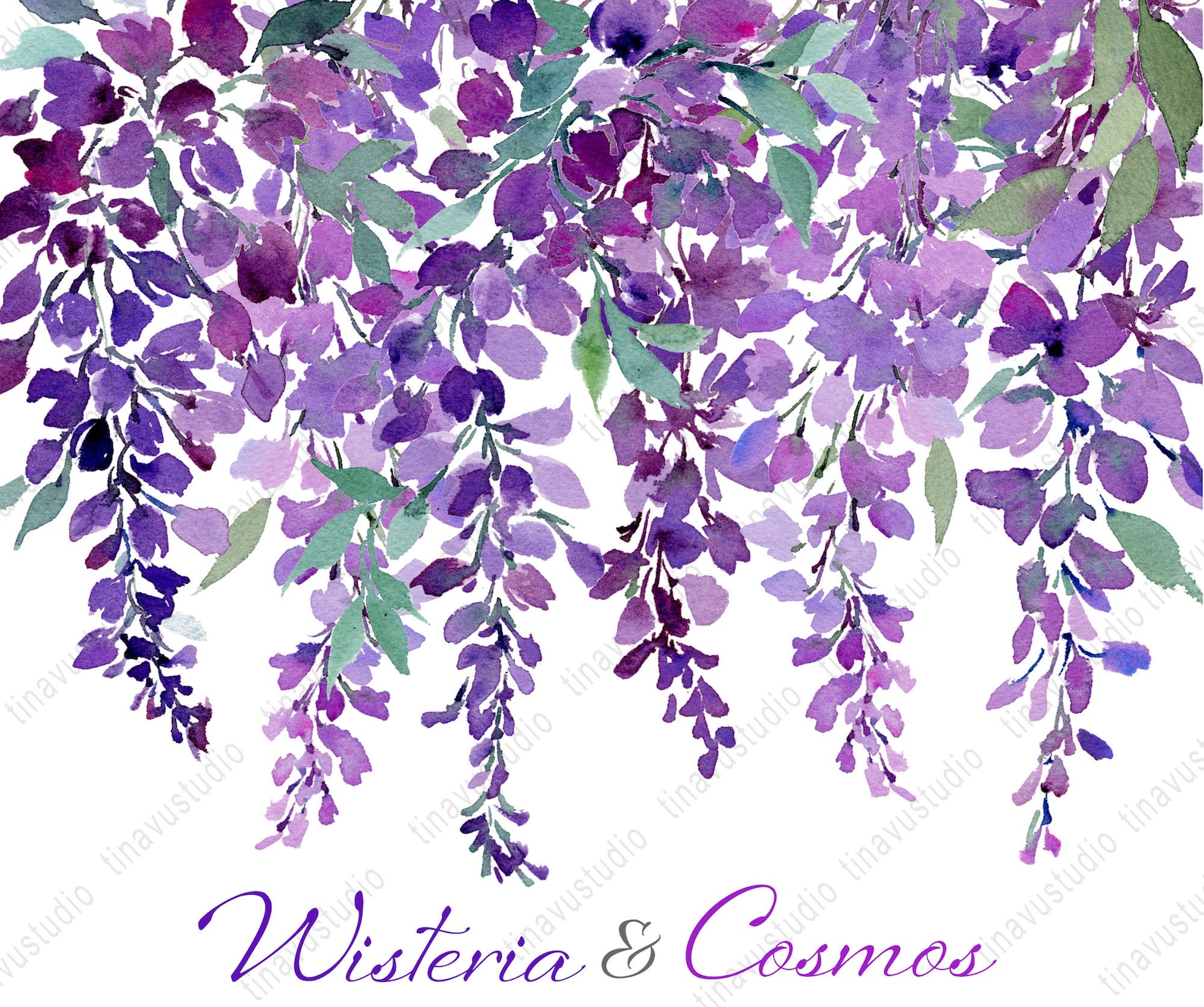 Wisteria Watercolor Digital Download, Hand Painted Flower Clip Art ...