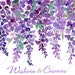 Wisteria Watercolor Digital Download Hand Painted Flower Clip - Etsy