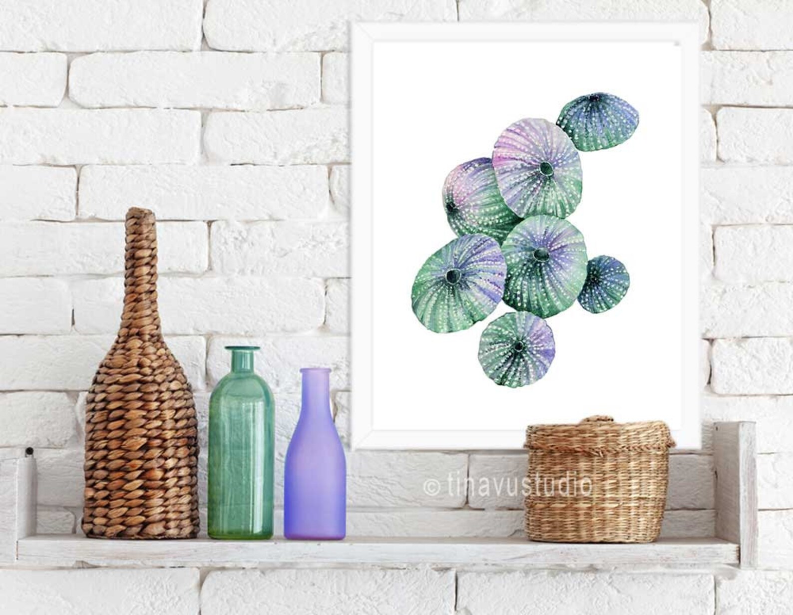 Sea Urchin Shells Green Urchin Watercolor Painting Nautical - Etsy