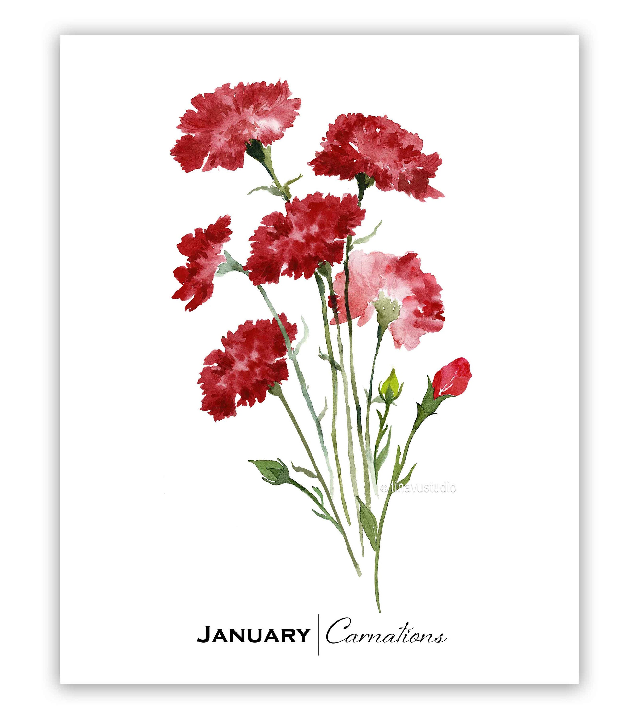 State Of Ohio Flower