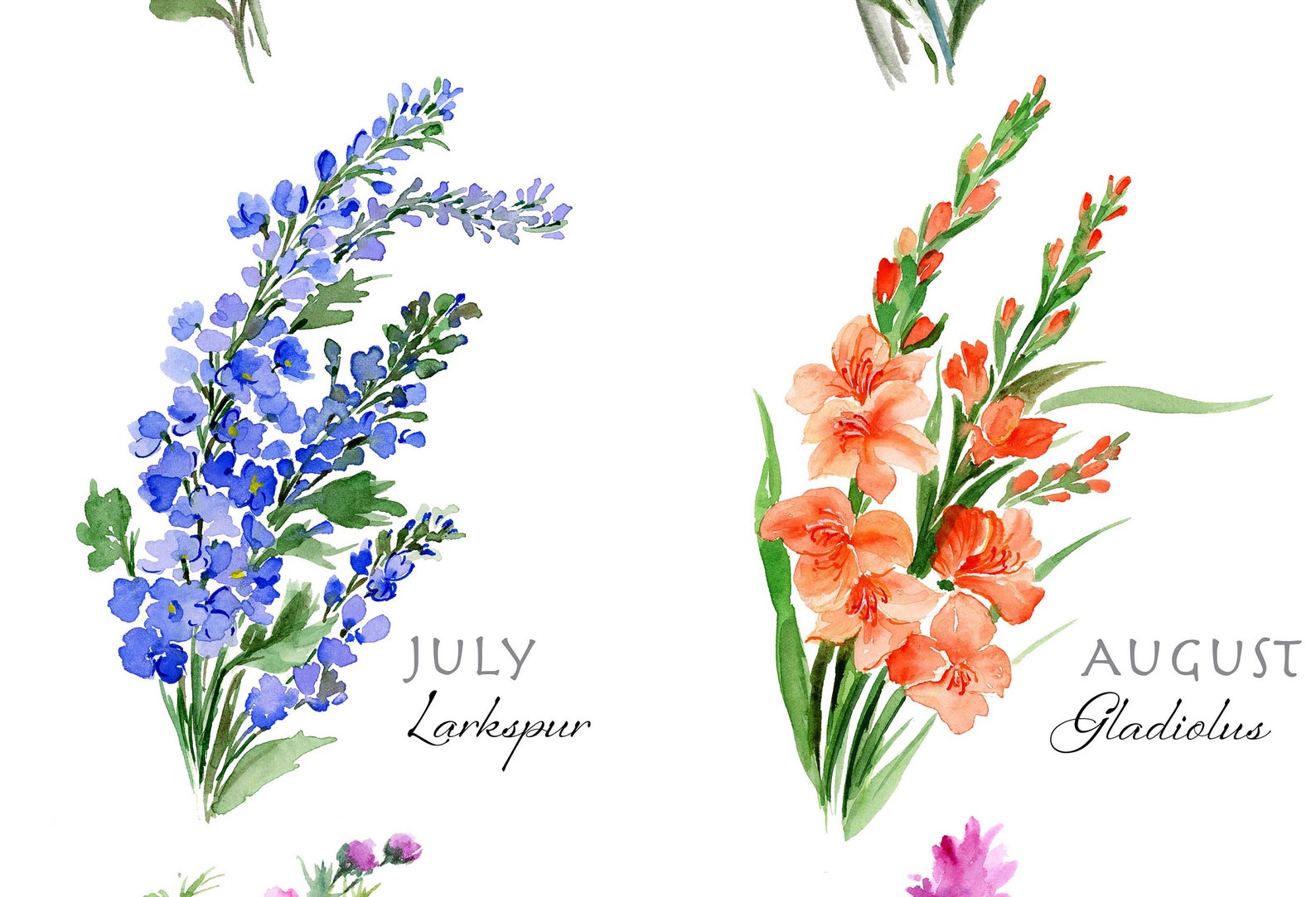 Digital Download Watercolor Floral Paintings, Birth Month Flowers ...