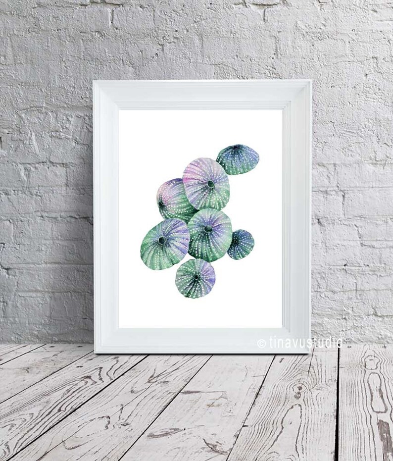 Sea Urchin Shells Green Urchin Watercolor Painting Nautical | Etsy