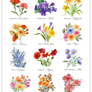 Birth Month Flowers, Flowers of the Months, Floral Poster, Digital ...