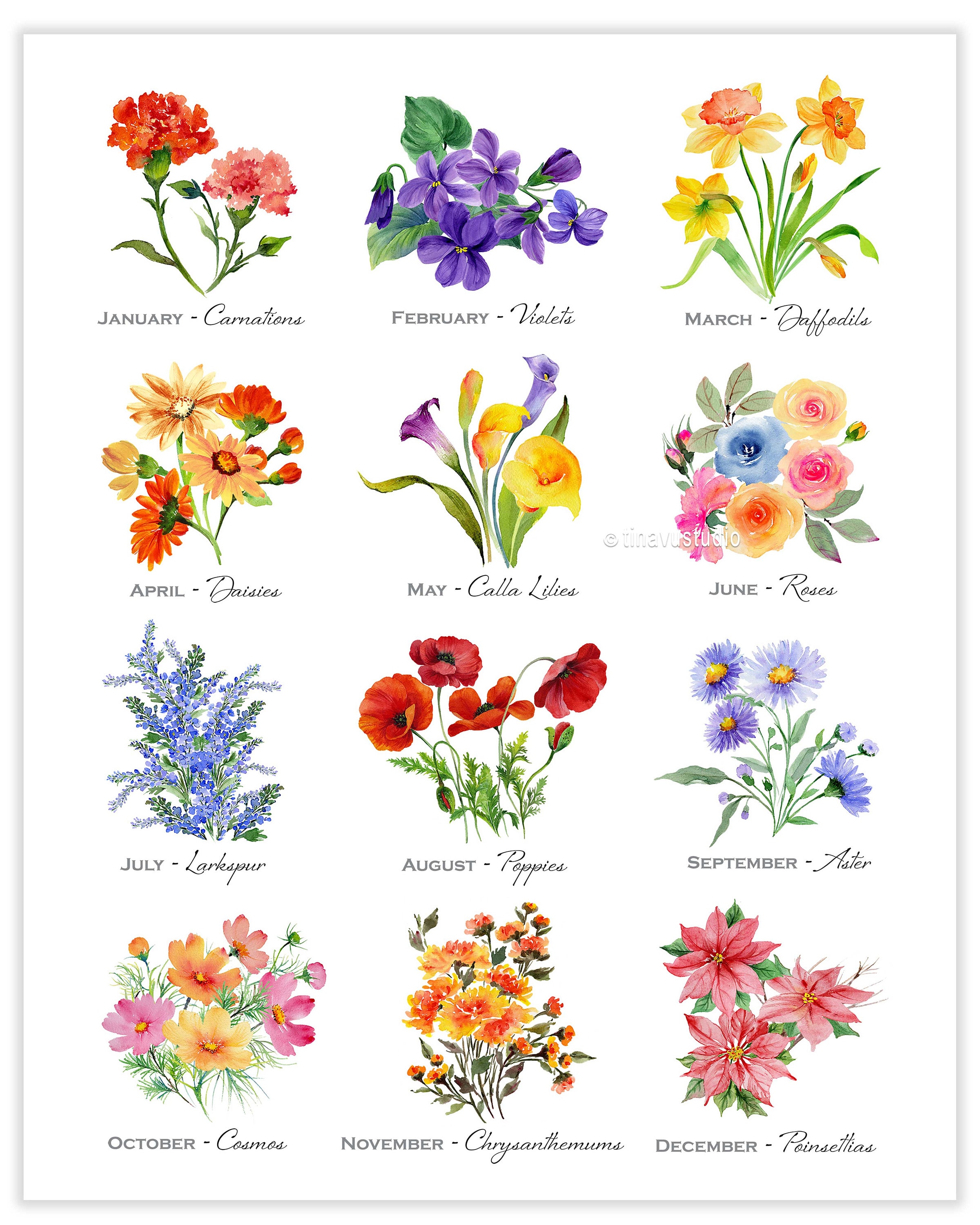 Birth Month Flowers, Flowers of the Months, Floral Poster, Digital ...