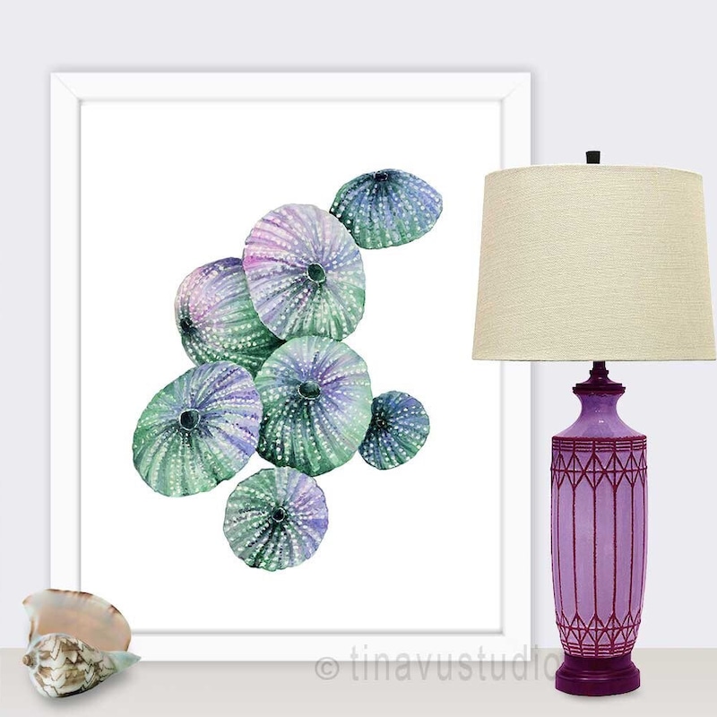 Sea Urchin Art - Etsy