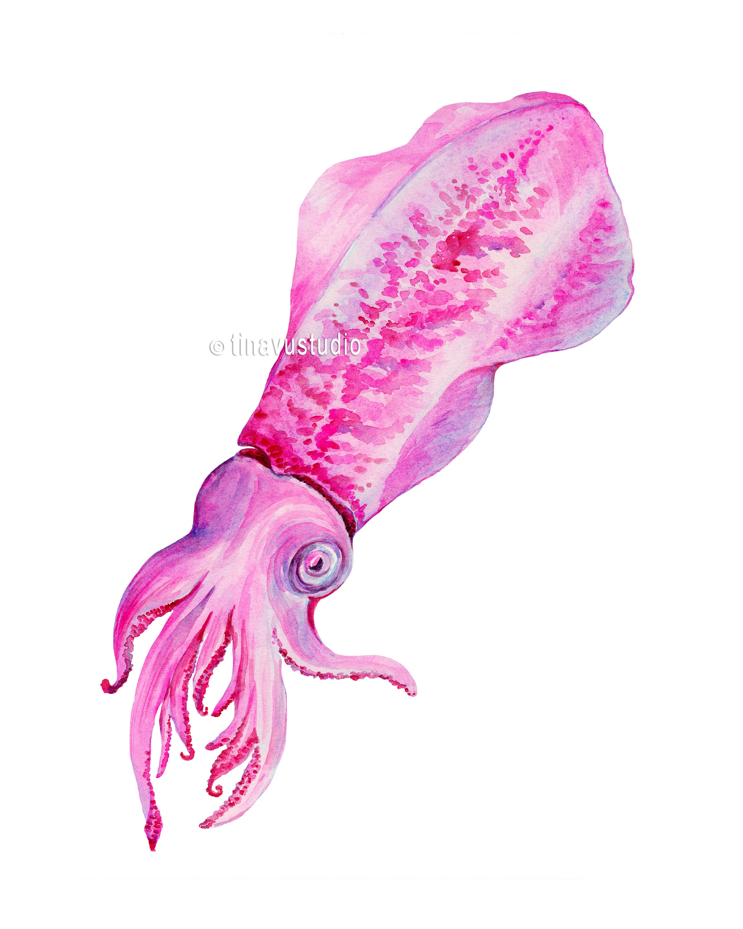 Pink Sea Creature Printable Pink Watercolor Artworks Squid | Etsy