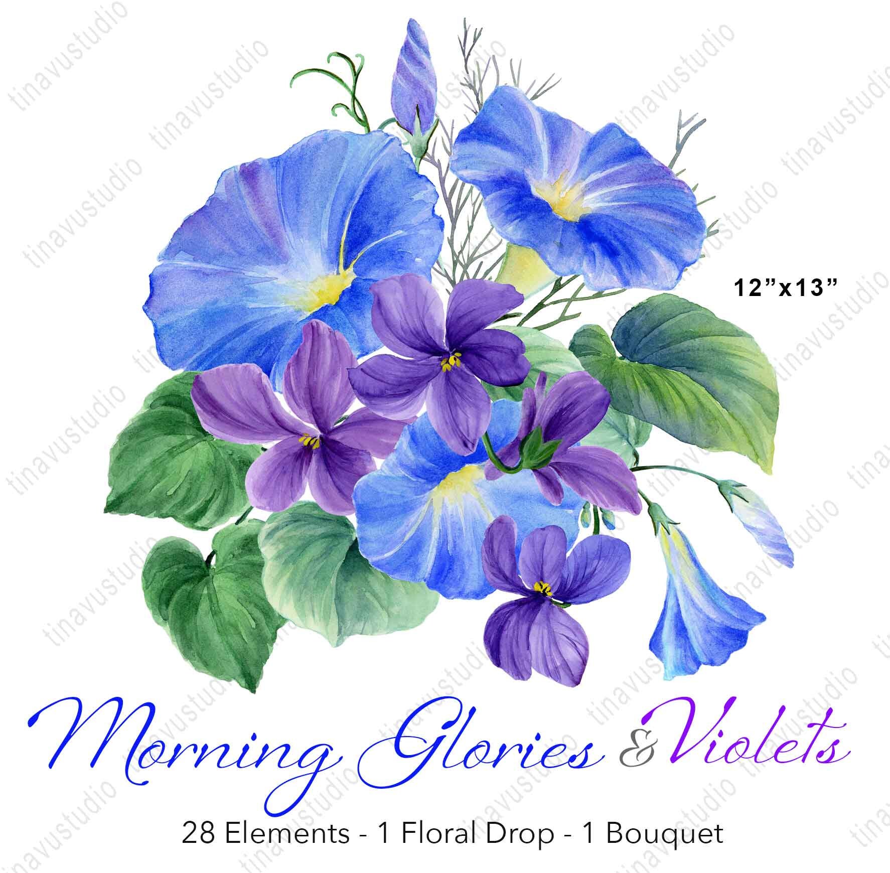 Morning glories violets watercolor digital download hand | Etsy