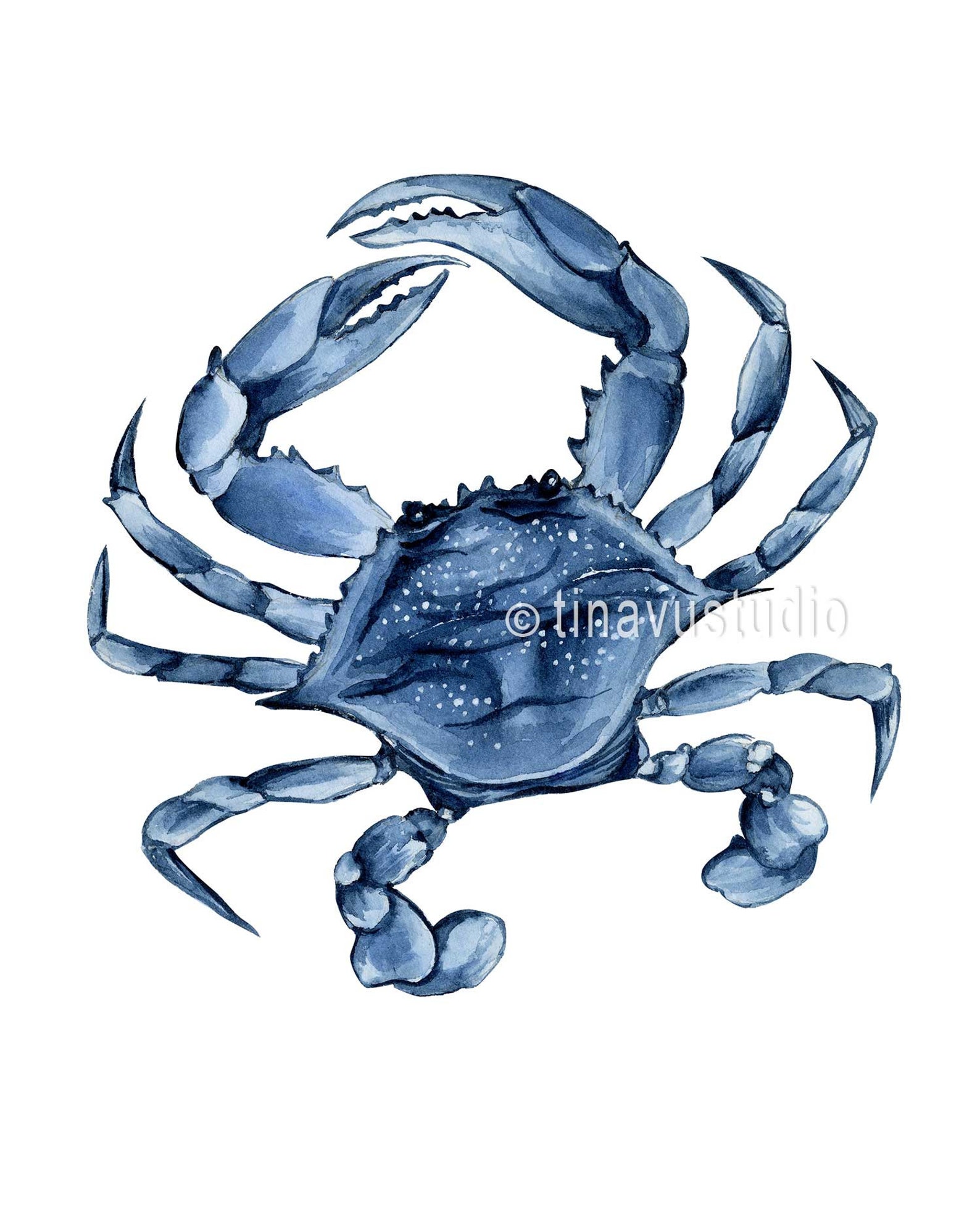 Nautical Printable Indigo Coral and Sea Creature Prints Set | Etsy