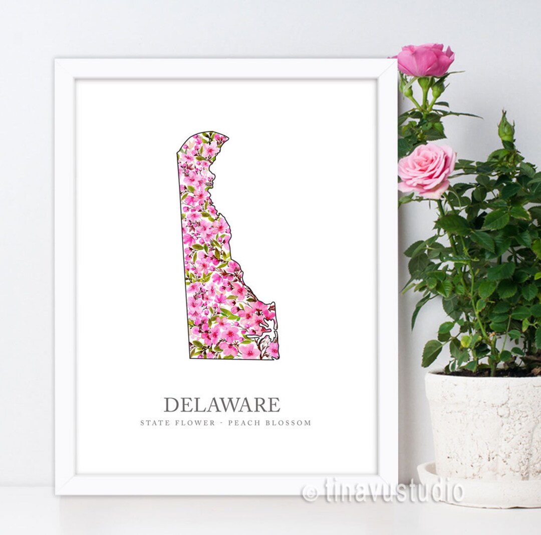 Delaware State Flower, DIGITAL DOWNLOAD, Peach Blossom Watercolor, Pink ...