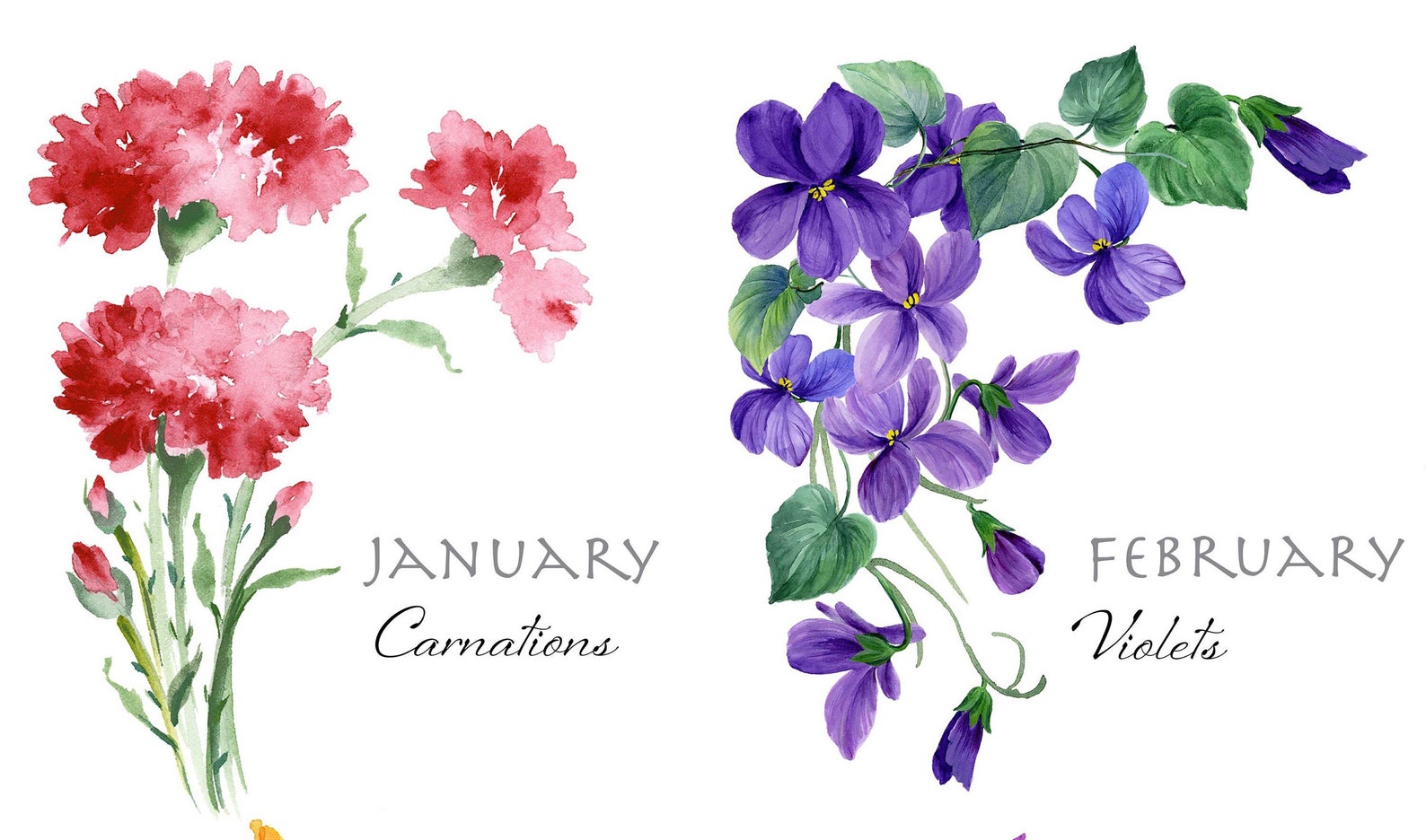 Digital Download Watercolor Floral Paintings, Birth Month Flowers ...