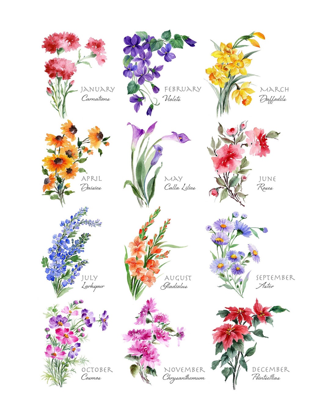 Digital Download Watercolor Floral Paintings, Birth Month Flowers ...