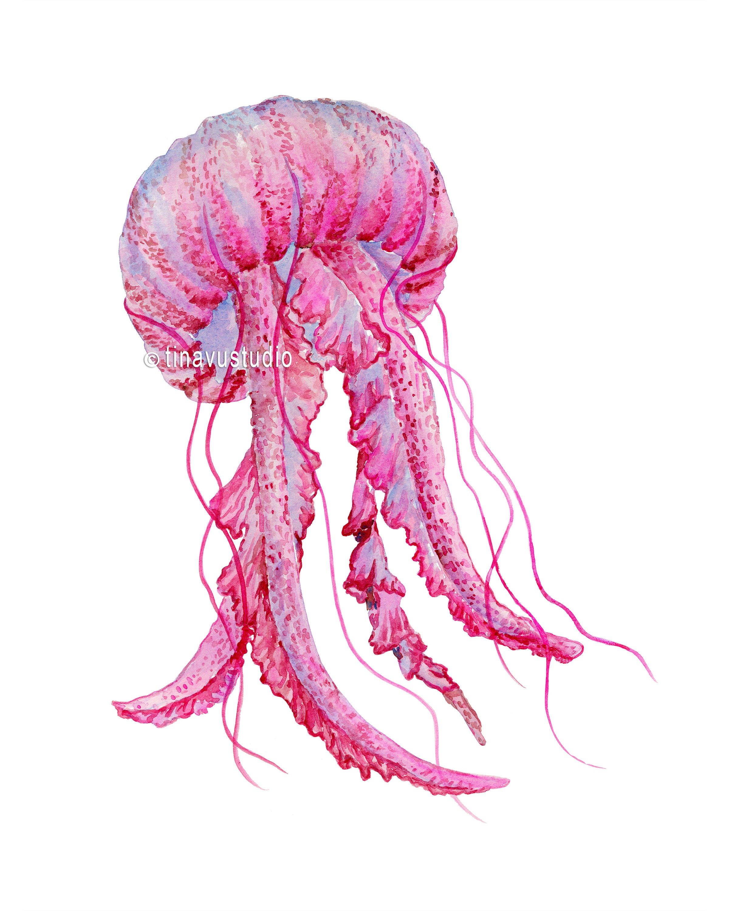 Pink Sea Creature Printable Pink Watercolor Artworks Squid | Etsy