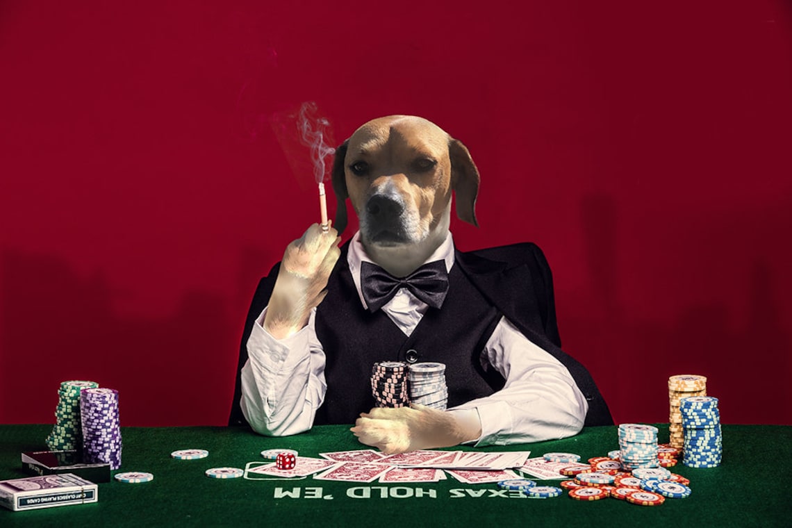 Custom dogs playing poker printCustom Pet Portraitanimal | Etsy