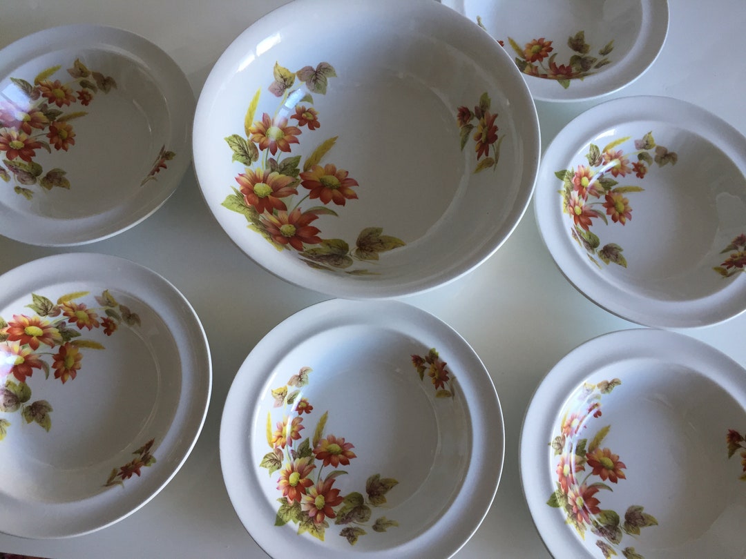 A Meakin 7 Pce Vintage Compote Set. Six Plus One Dessert or Soup or ...