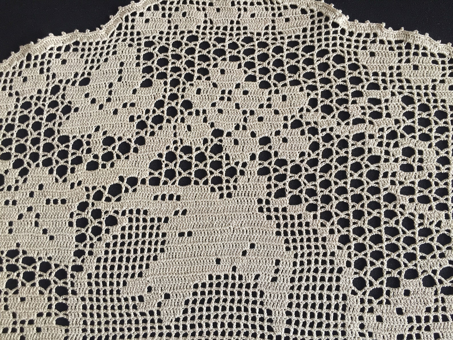 Mary Card Designed "grapevine and Silvereye" Filet Crochet Lace Doily ...