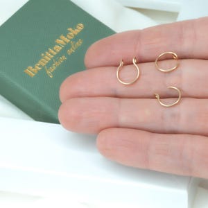 Faux Nose Rings Set: No Piercing Needed, Fake Septum & Lip Ring - Etsy