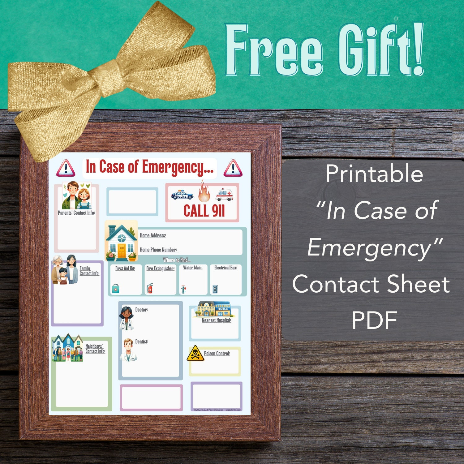 Customizable Child Emergency ID Card Canva Template - Etsy