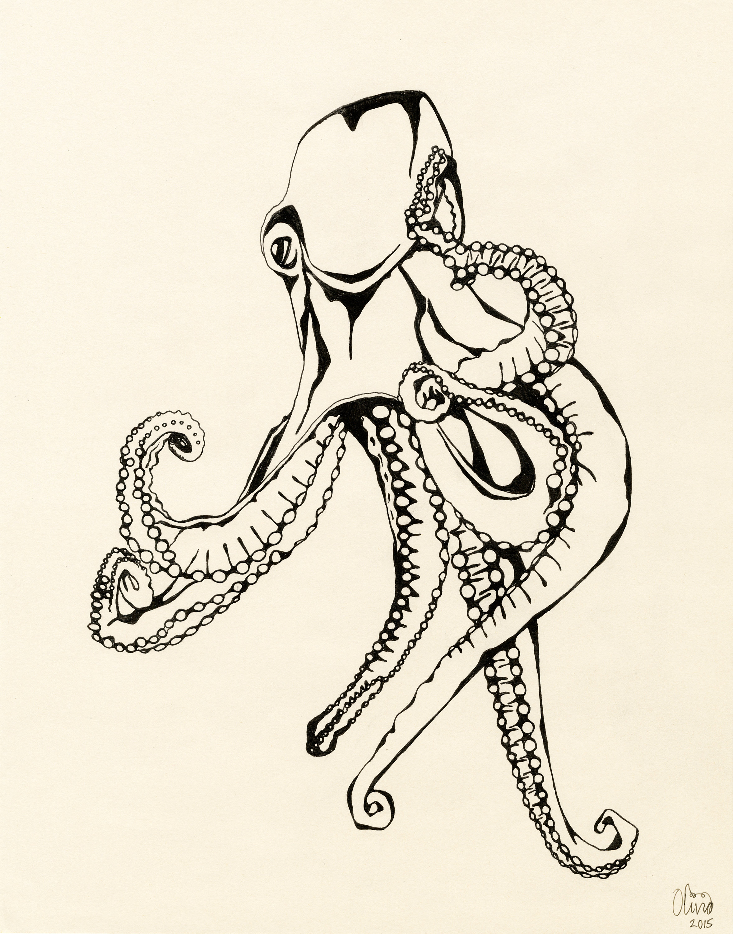 OCTOPUS PRINT - Detailed Pen & Ink Drawing of an Octopus - Home Decor ...