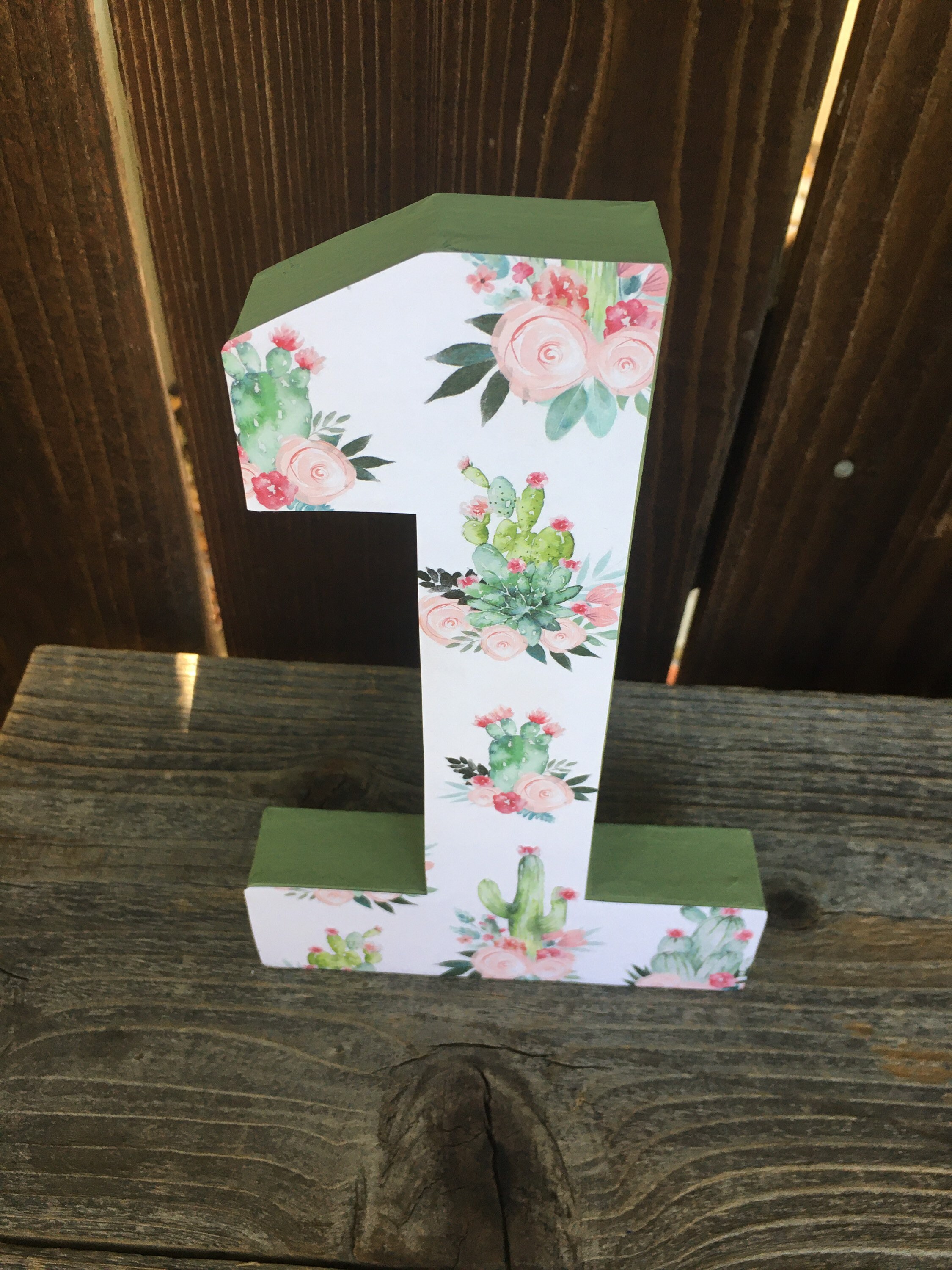 Number 1 Photo Prop,First Birthday,Cactus,Cactus Theme,Cake Smash ...