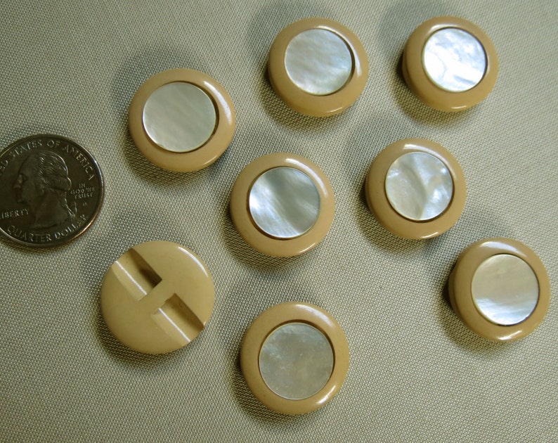 Pearl Set in Pale Tan Plastic Button Set Large Button Set of - Etsy