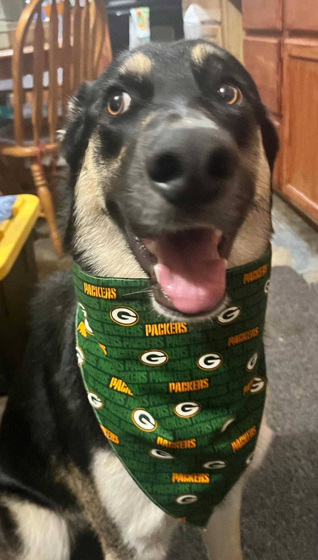 Green Bay Packers Dog Bandana, Reversible, With Adjustable Snaps - Etsy
