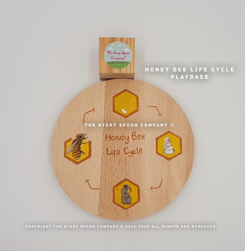 Bees. Beekeeper. Peg Dolls. Hive. Honeycomb. Life cycle. | Etsy