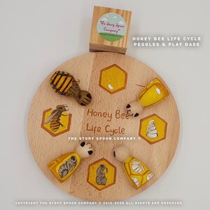 Bees. Beekeeper. Peg Dolls. Hive. Honeycomb. Life Cycle. Science Toy ...