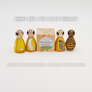Bees. Beekeeper. Peg Dolls. Hive. Honeycomb. Life Cycle. Science Toy ...