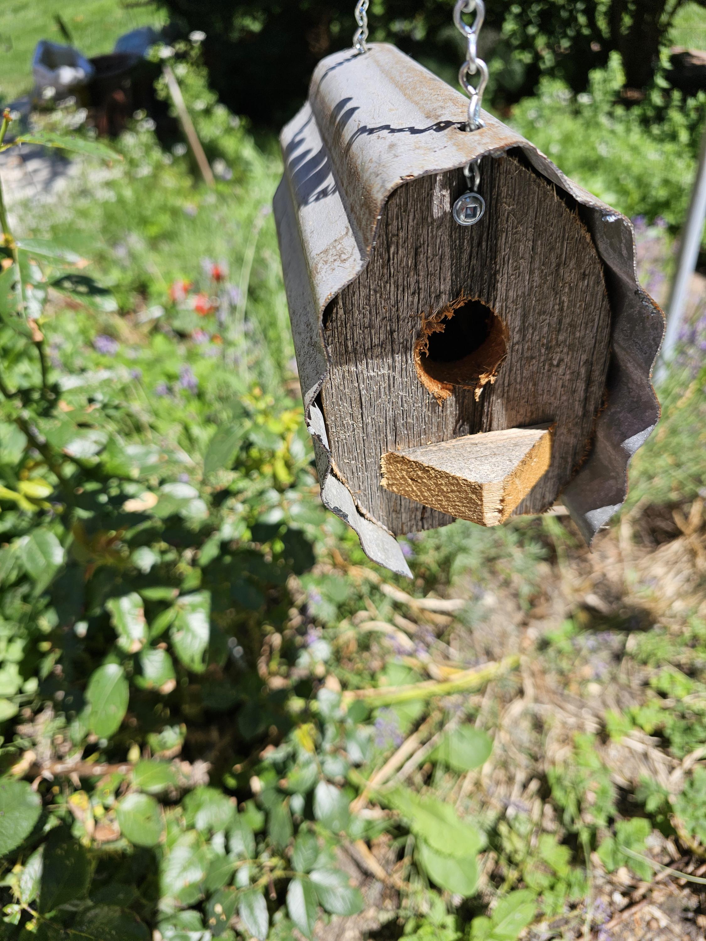 Amish Bird House Made From 1800's Barn Wood With Corrugated Metal Roof ...