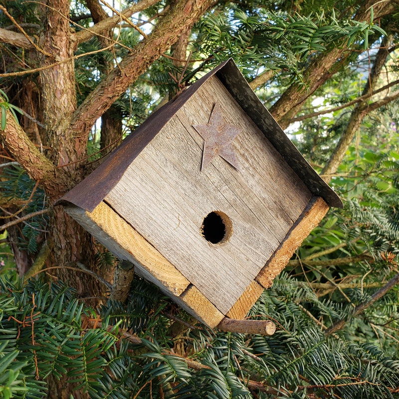 Birdhouse Perch - Etsy
